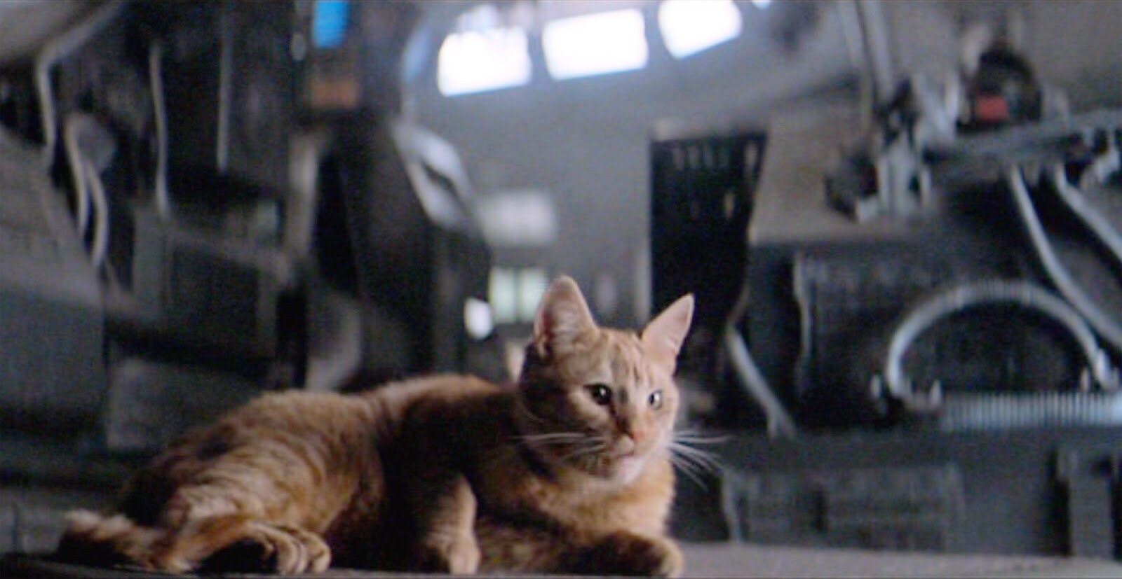 Aliens Cold Forge Review by David Gogel – MOUTHS OF MADNESS